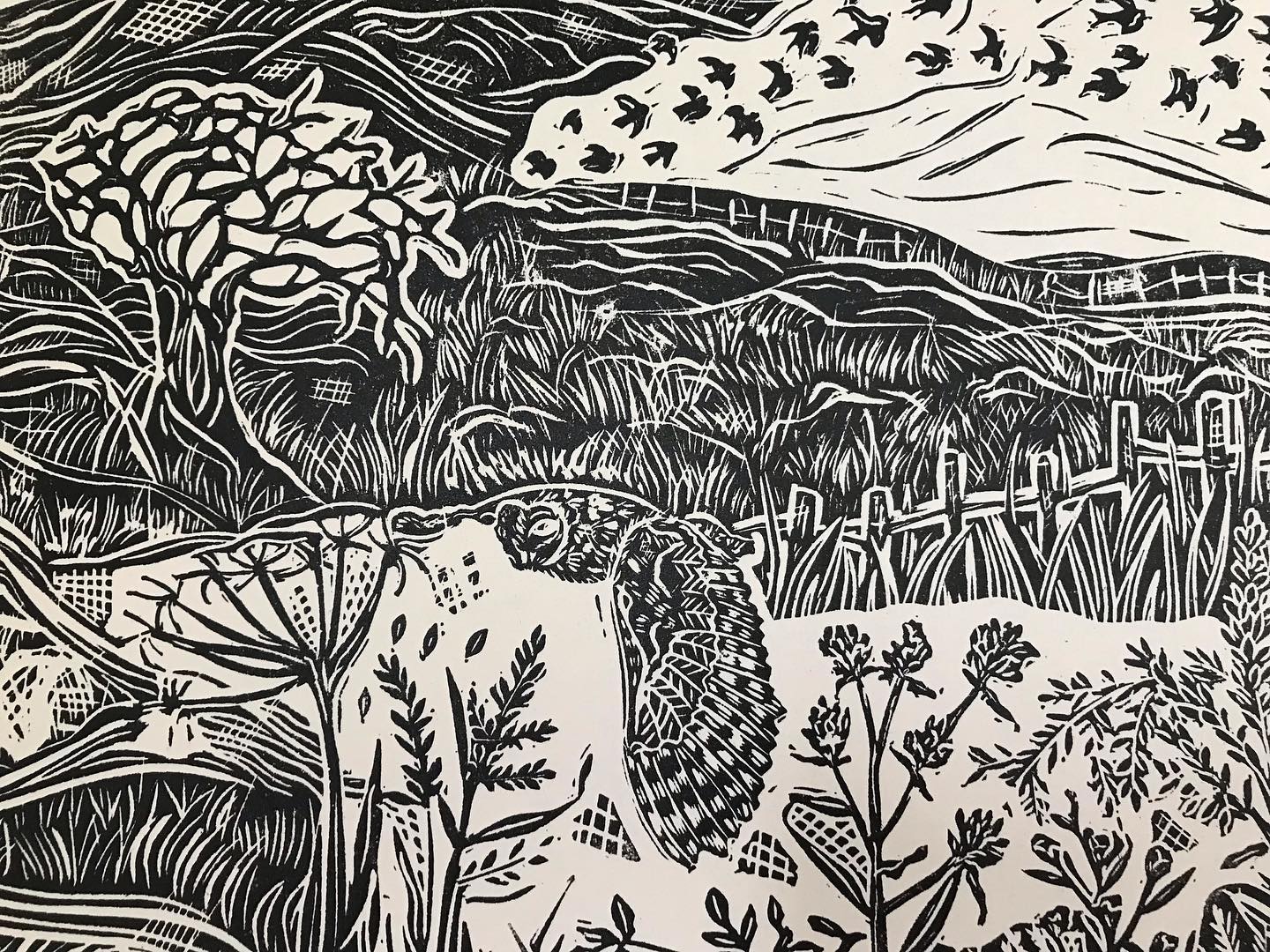 Chas Jacobs : Limited Edition Artwork Collection by the Lancaster artist