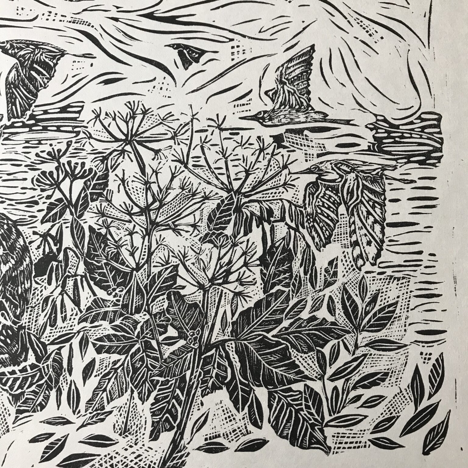 Chas Jacobs : Limited Edition Artwork Collection by the Lancaster artist