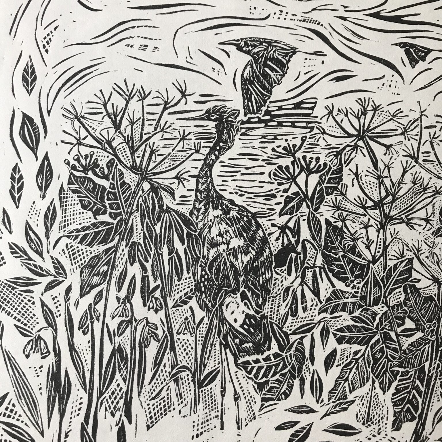 Chas Jacobs : Limited Edition Artwork Collection by the Lancaster artist