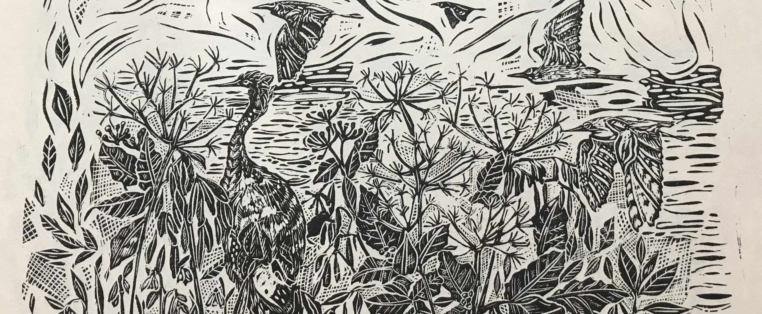 Chas Jacobs : Limited Edition Artwork Collection by the Lancaster artist