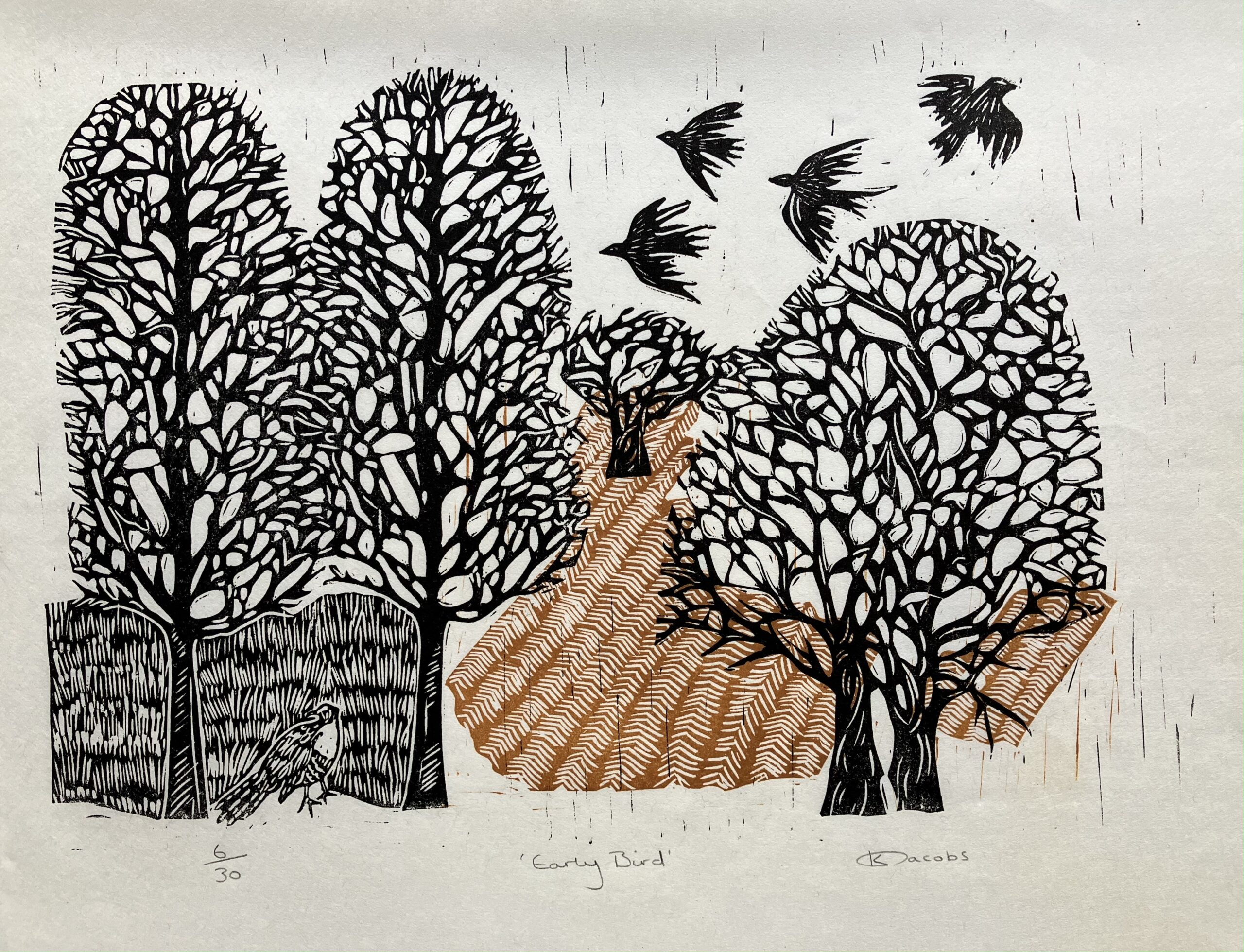 Chas Jacobs : Limited Edition Artwork Collection by the Lancaster artist