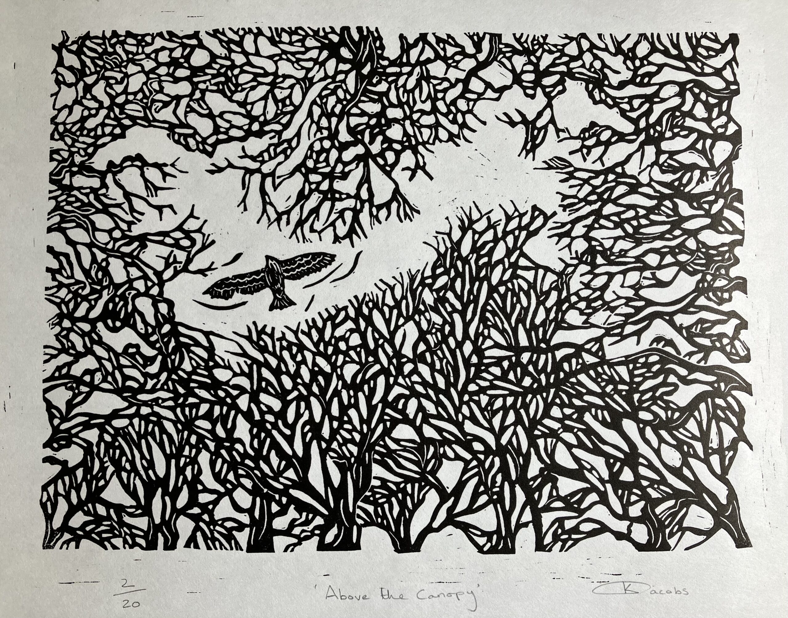 Chas Jacobs : Limited Edition Artwork Collection by the Lancaster artist